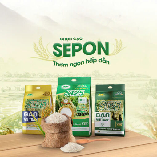 Gạo Sepon - Tinh túy từ vùng đất Quảng Trị